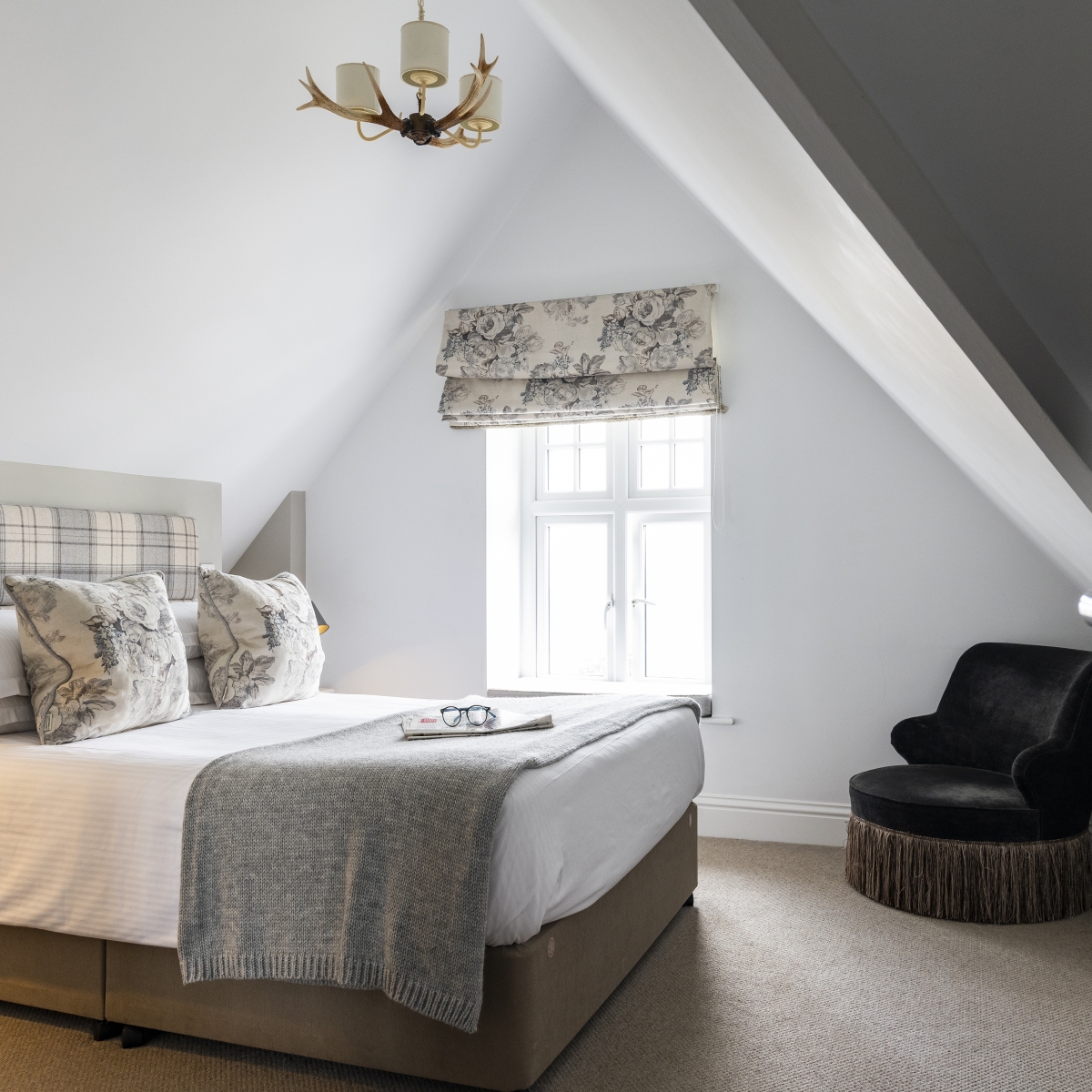 Spot the Gannet Room | The Gannet